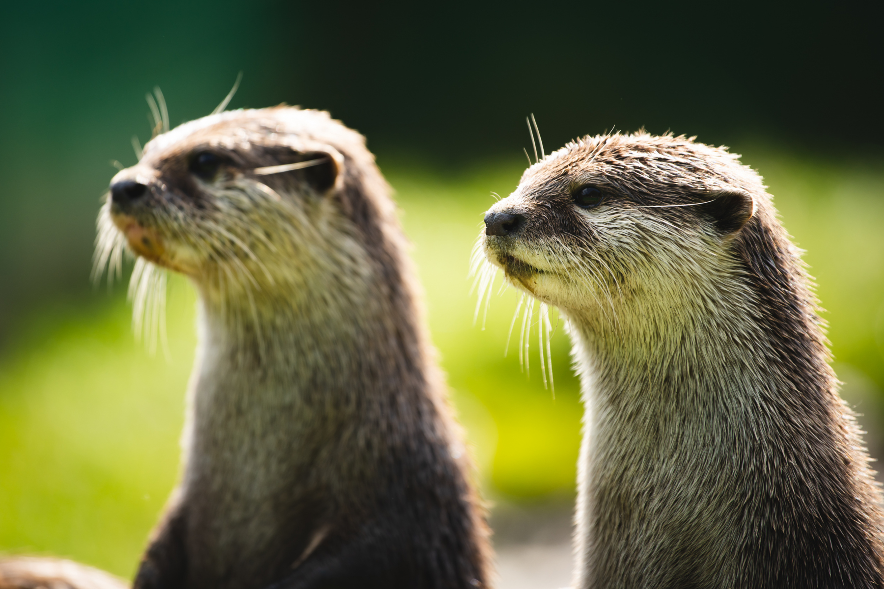 Other Photography | Josh Huxham Photography